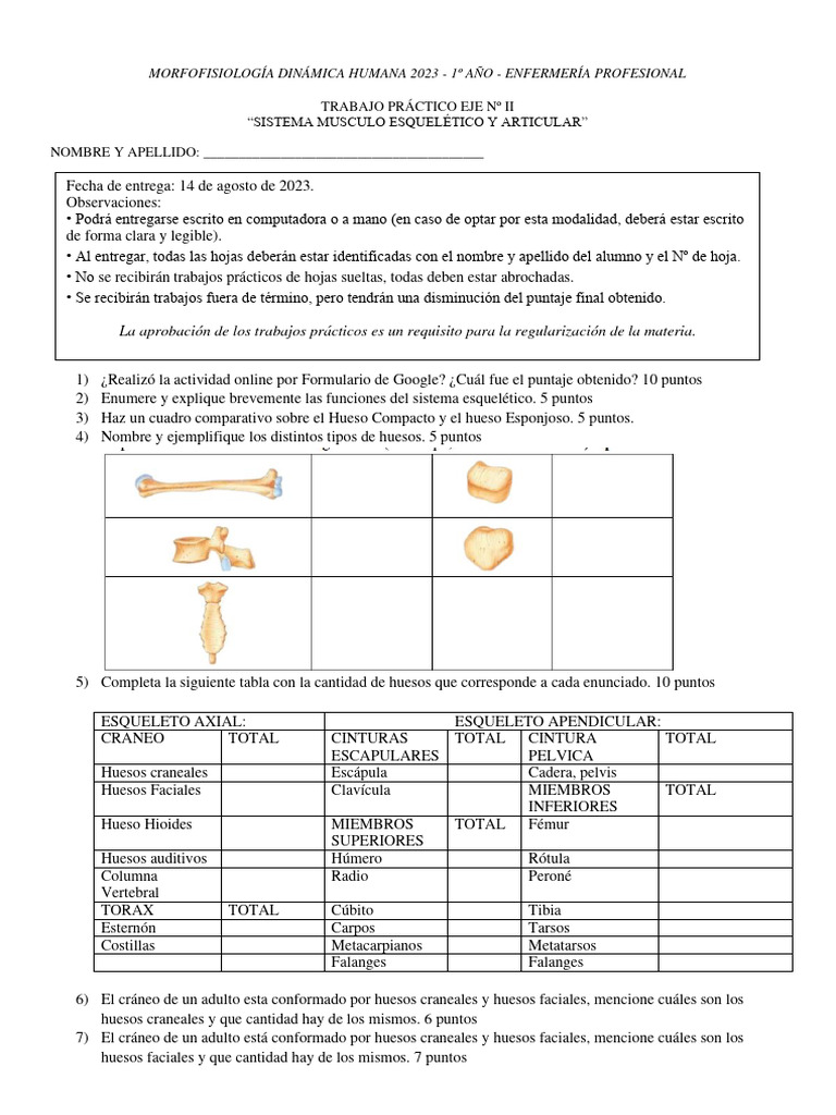 TP N2 - Eje 2 - Morfofisiologia 2023 | PDF | Articulación | Anatomía