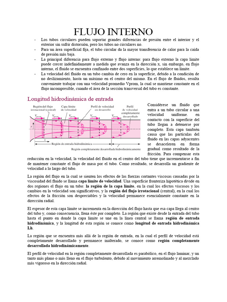 FLUJO INTERNO_ FINAL | PDF | Capa límite | Viscosidad
