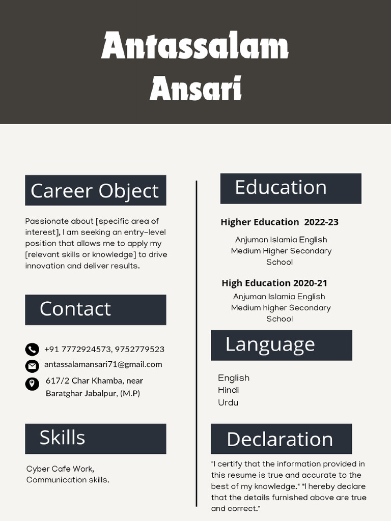 Antassalam Ansari | PDF