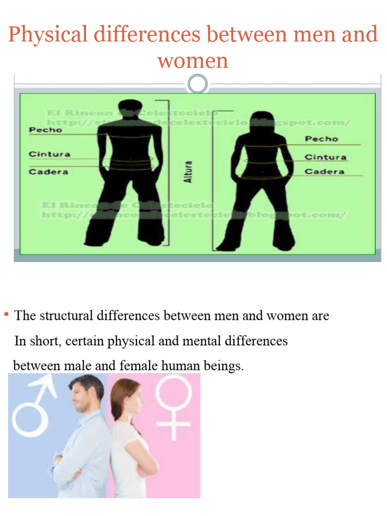 Physical Differences Between Men And Women Pdf
