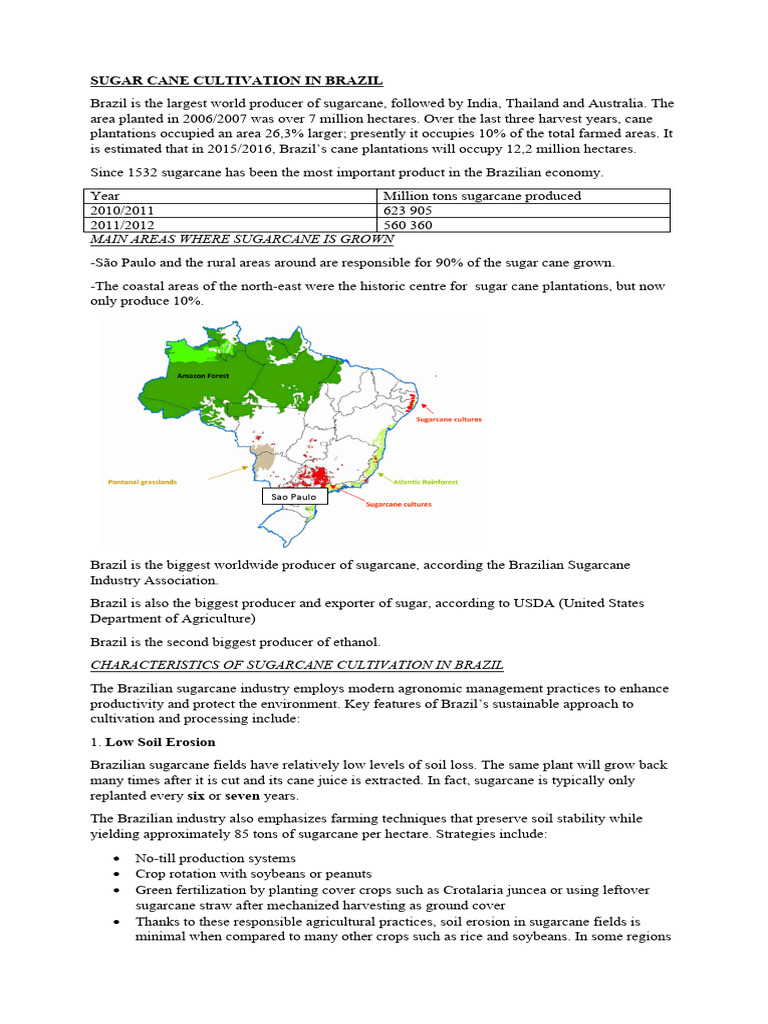 Sugar Cane Cultivation in Brazil Notes | PDF | Sugarcane | Agriculture
