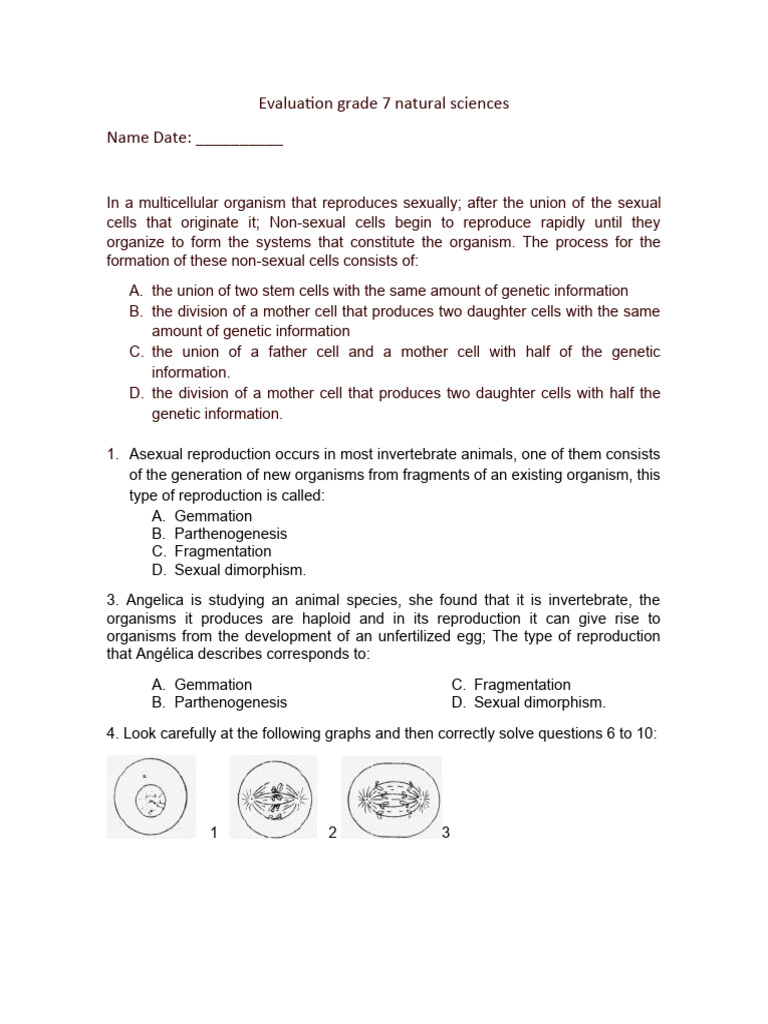 Evaluation Grade 7 Natural Sciences | PDF | Sexual Reproduction ...