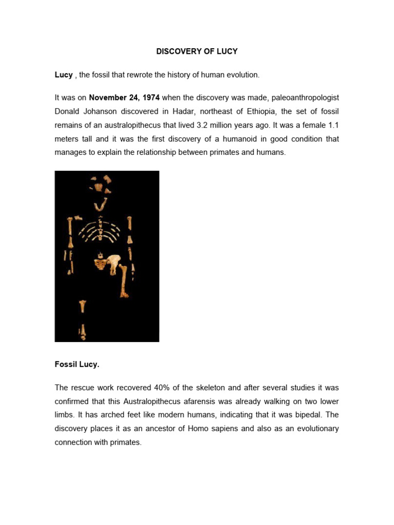 Lucy's Discovery | PDF | Lucy (Australopithecus) | Paleoanthropology