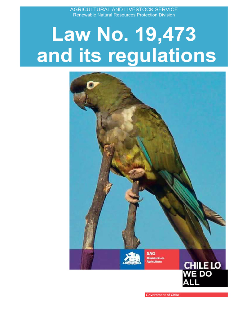 Chile's Law 19,473 on Wildlife Protection | PDF | Hunting | Decree