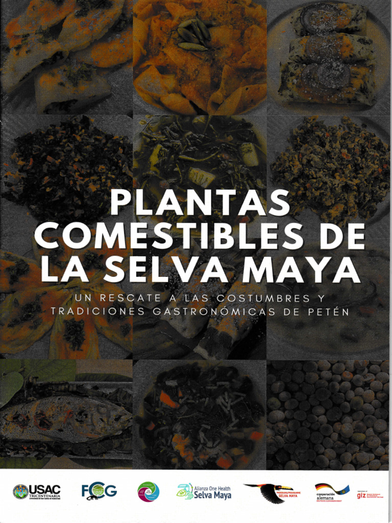 Plantas Comestibles de La Selva Maya | PDF