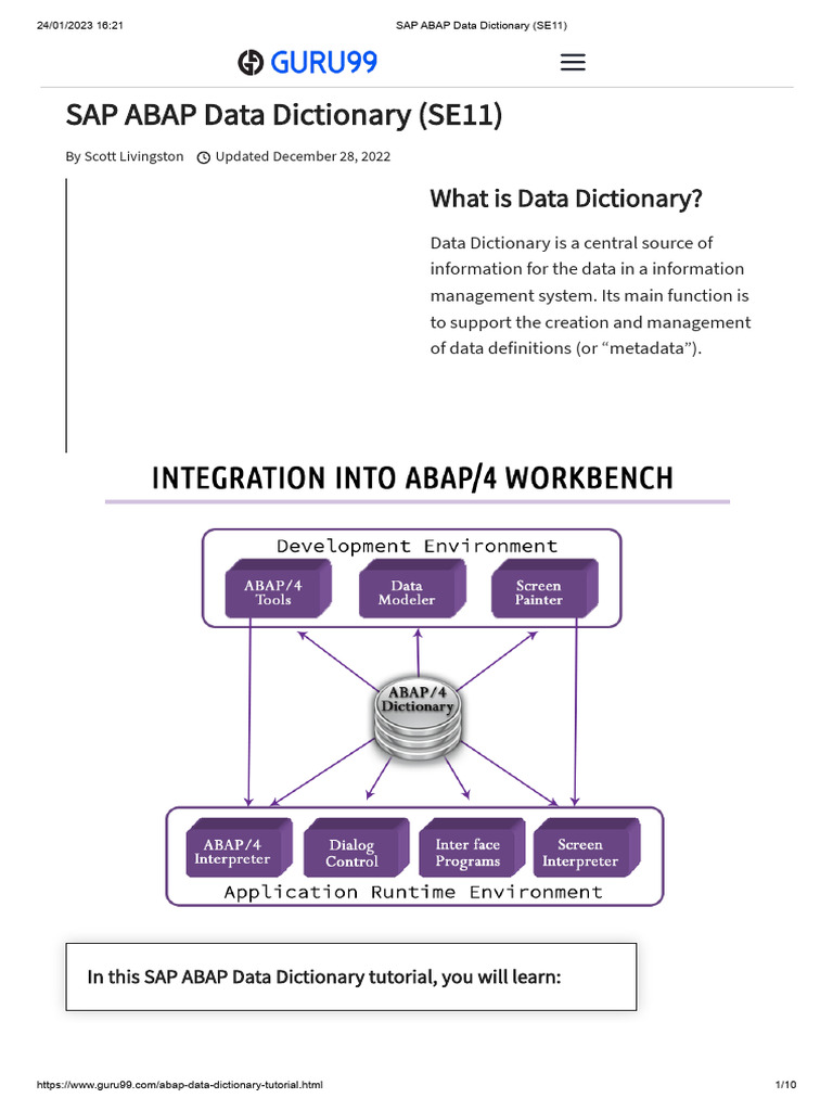 Aula 1 - SAP ABAP Data Dictionary (SE11) | PDF | Data Management | Computer Engineering