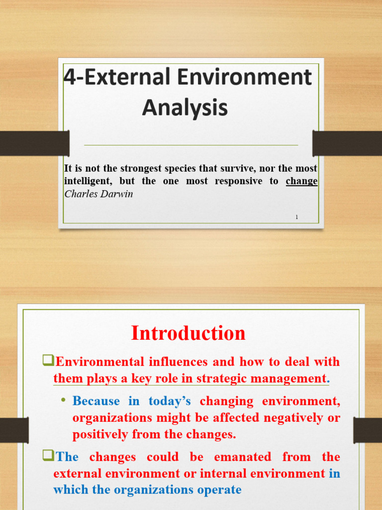 External Environment Analysis | PDF | Elasticity (Economics) | Supply Chain