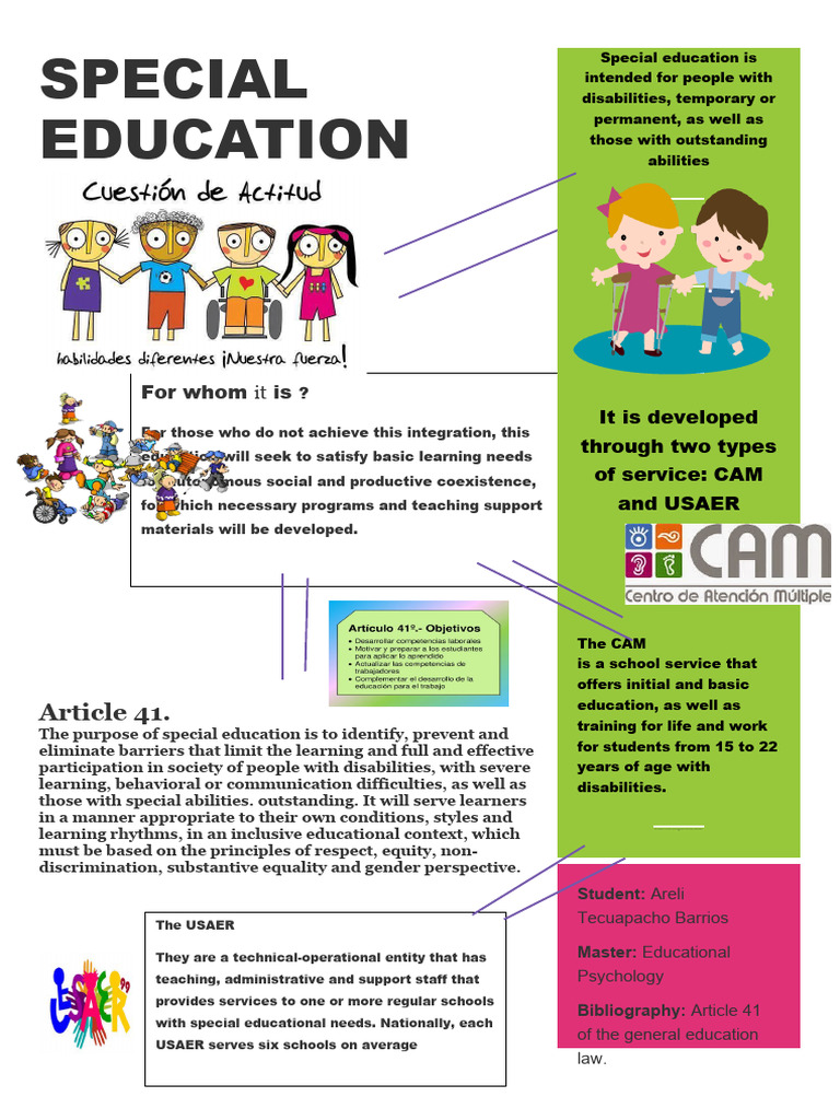 Special Education Infogram | PDF | Special Education | Learning