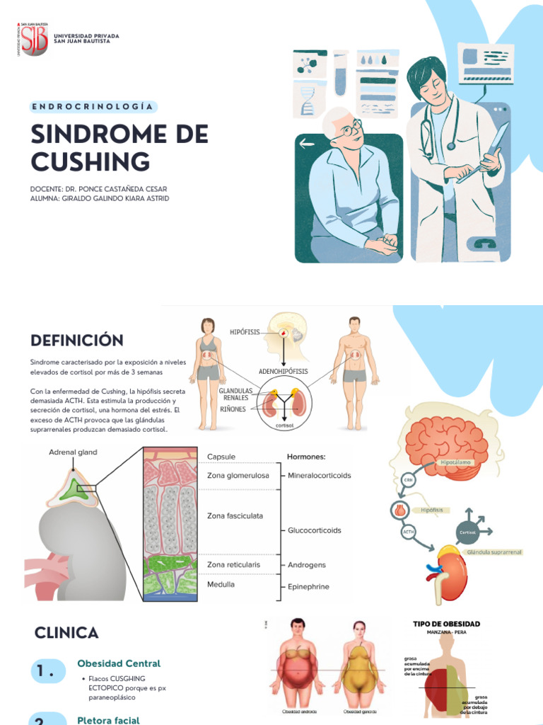 SINDROME DE CUSHING | Descargar gratis PDF | Hormona adrenocorticotrópica | Cortisol