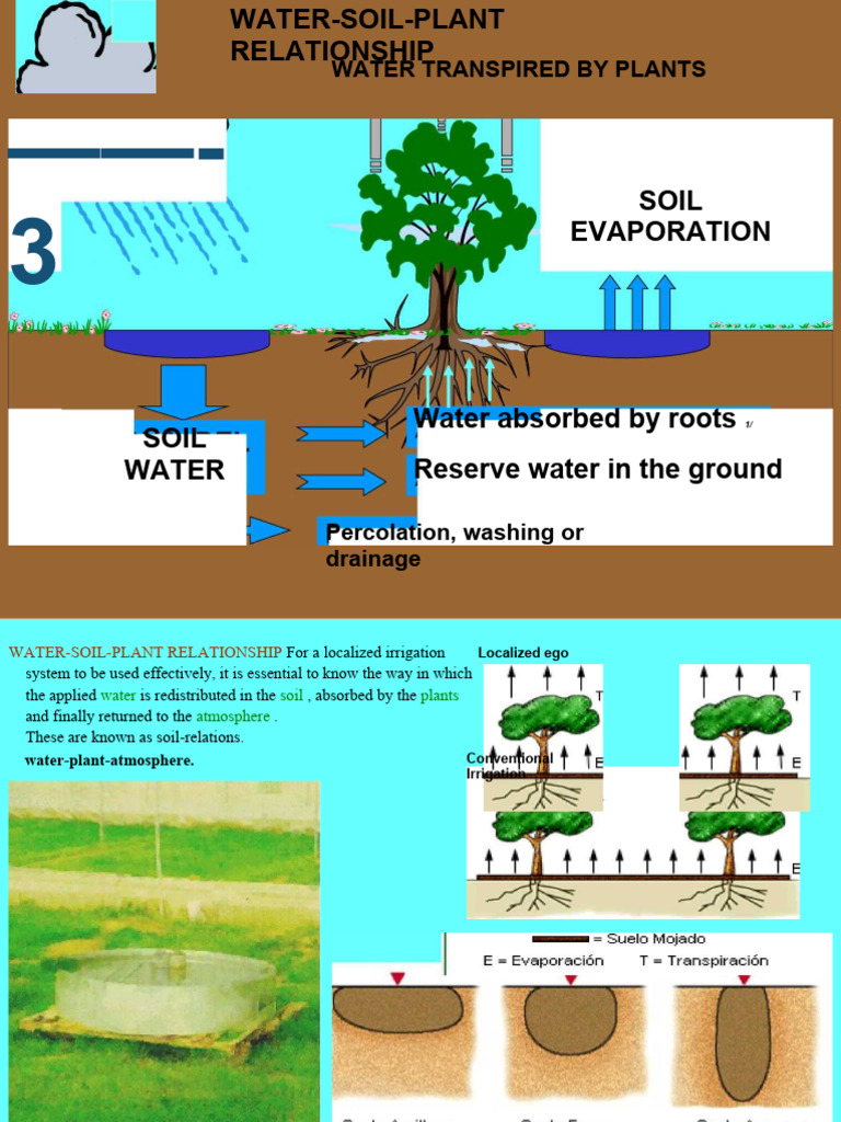 Water-Soil-Plant Interaction Guide | PDF | Soil | Loam