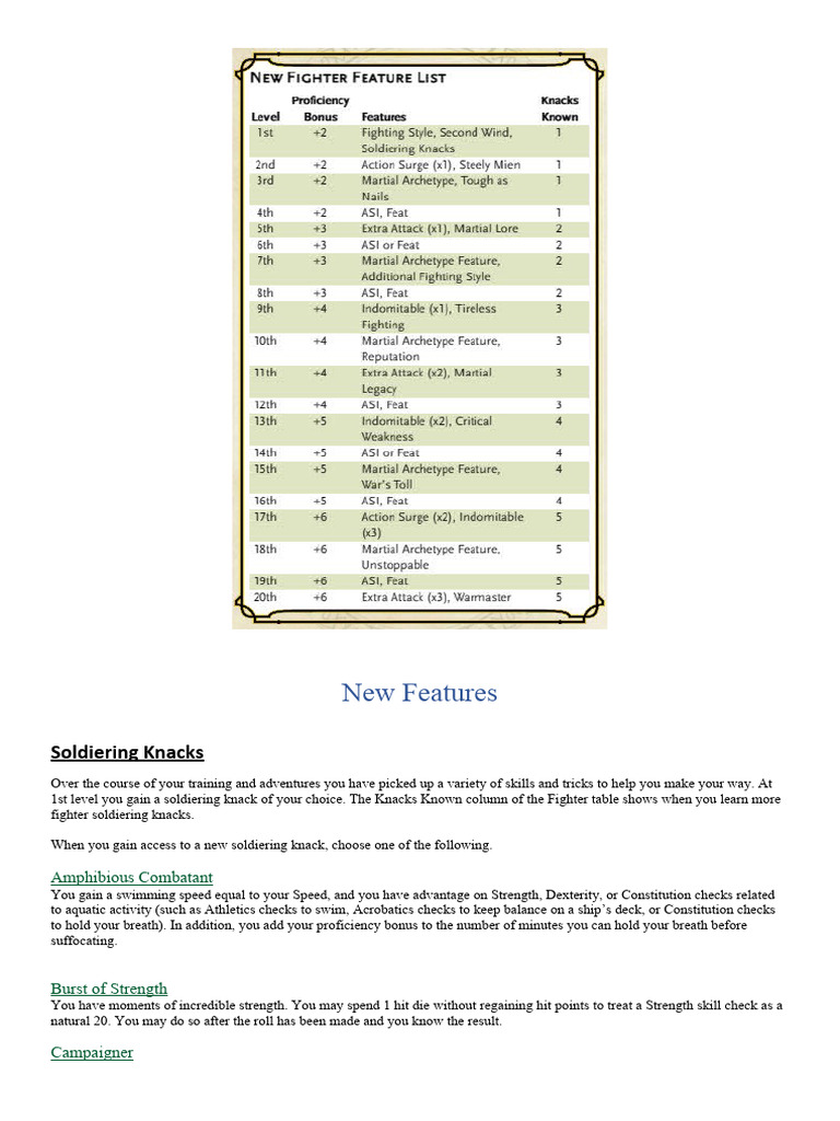 Fighter Overview | PDF
