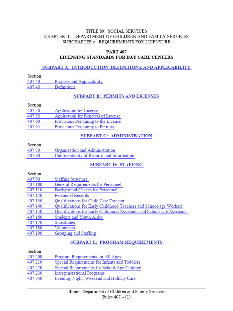 Day Care Licensing Standards 407 | PDF | Child Care | License