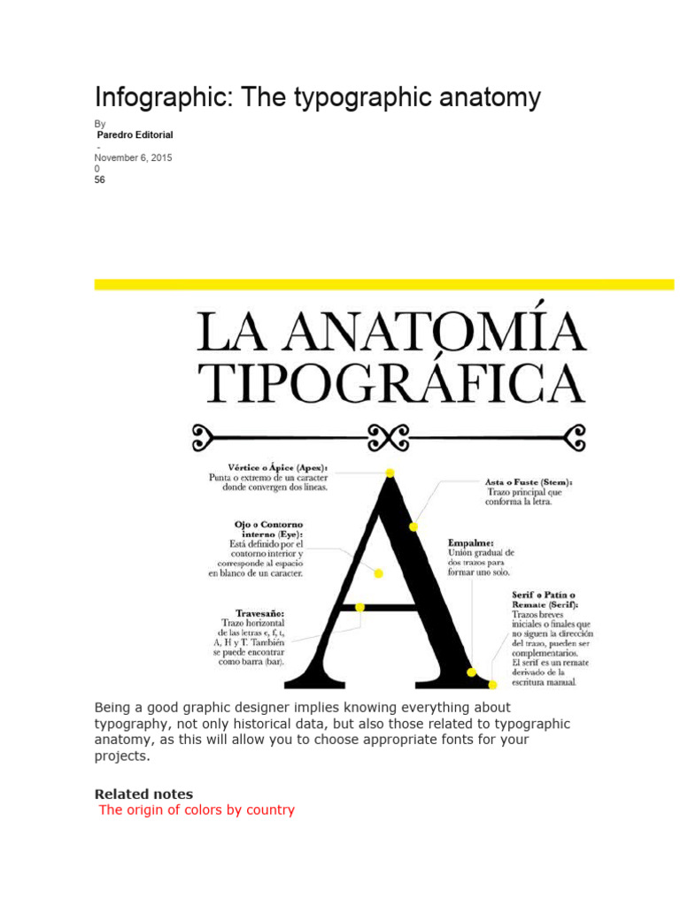 Anatomy of Typography | PDF | Typography | Typefaces