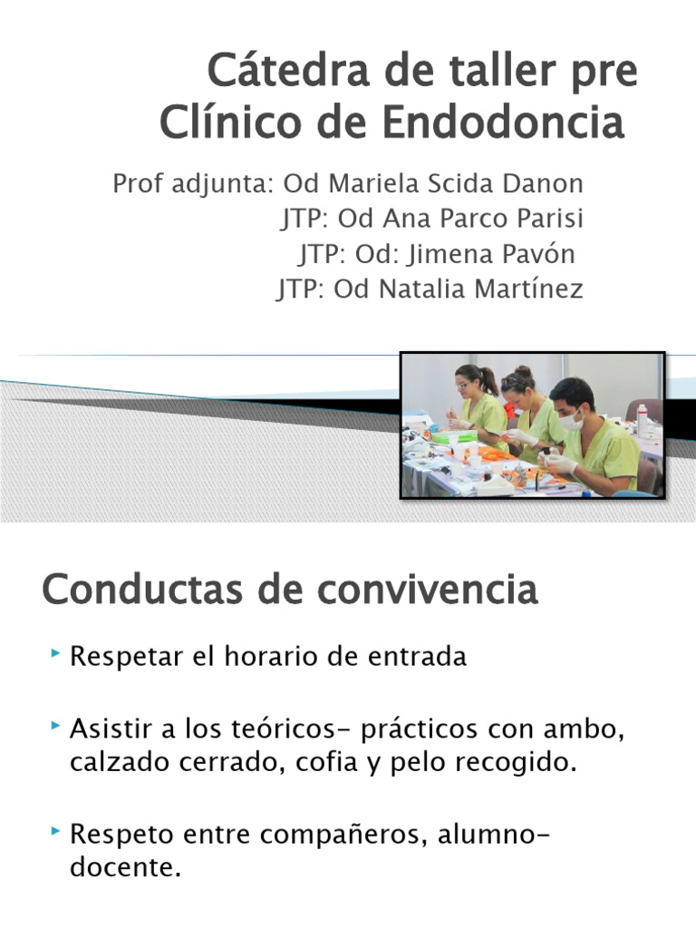 Teorico de Presentacion | PDF | Anatomia dental | Diente
