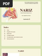 Nariz y senos paranasales | PDF | Nariz humana | Rinología