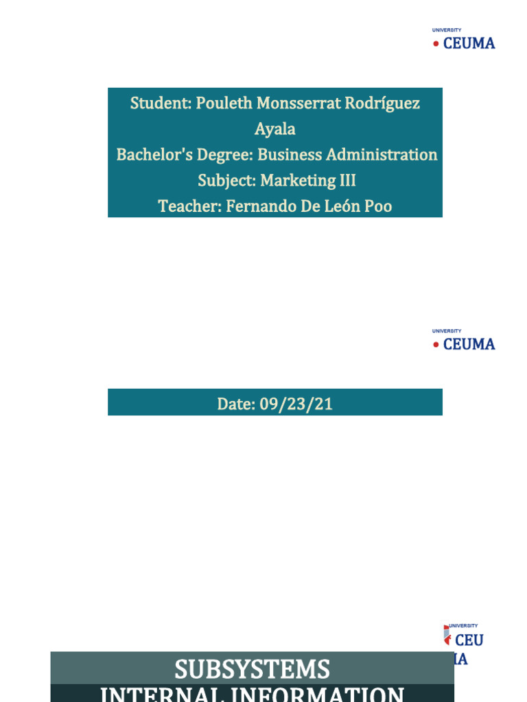 Internal Information Subsystem, Marketing III | PDF | System | Information