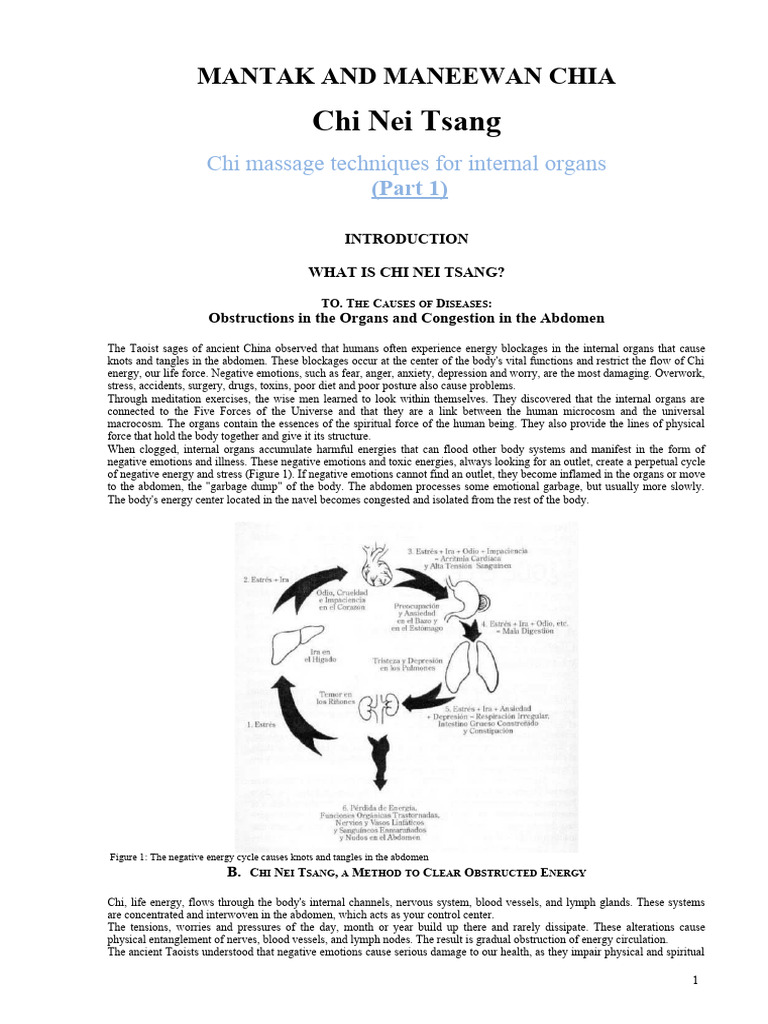 Chi Nei Tsang: Healing Through Massage | PDF | Qi | Yin And Yang