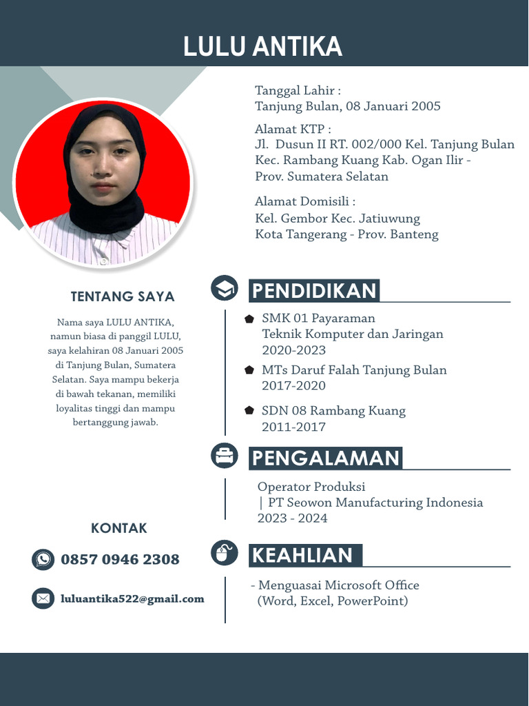 CV Lulu Antika | PDF