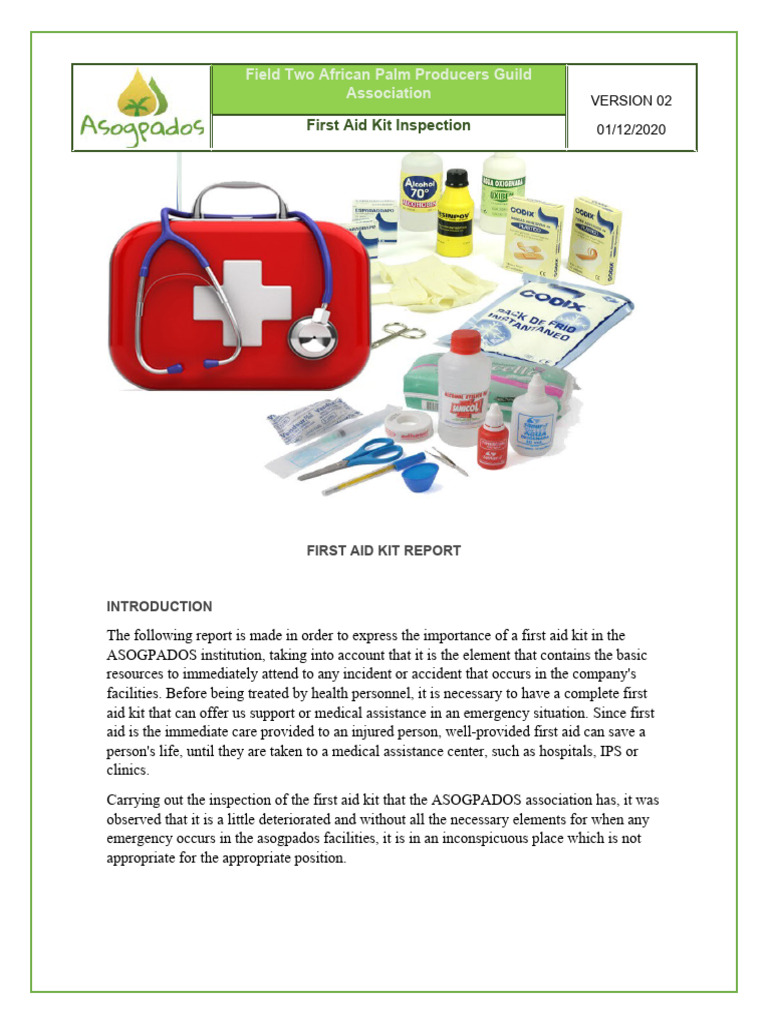 First Aid Kit Report | PDF | First Aid | Emergency