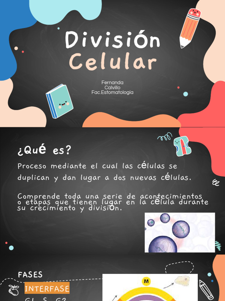 Proceso de División Celular y Mitosis | PDF | Mitosis | Mitosis