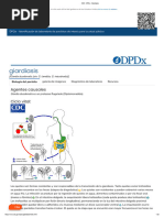 CDC - DPDX - Enterobiasis | PDF | Sistema digestivo | Parasitología