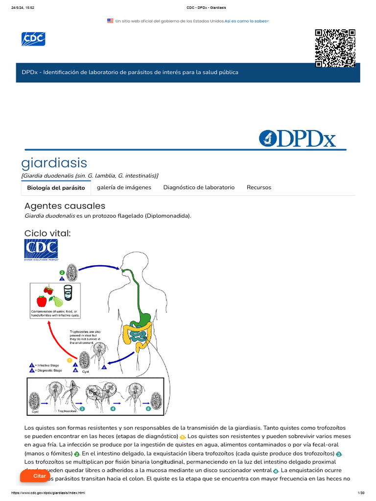 Cdc Dpdx Giardiasis Pdf Inmunología Sistema Digestivo