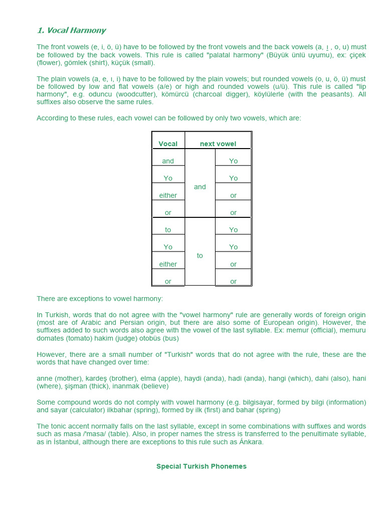 Turkish Grammar | PDF | Grammatical Gender | Grammatical Tense