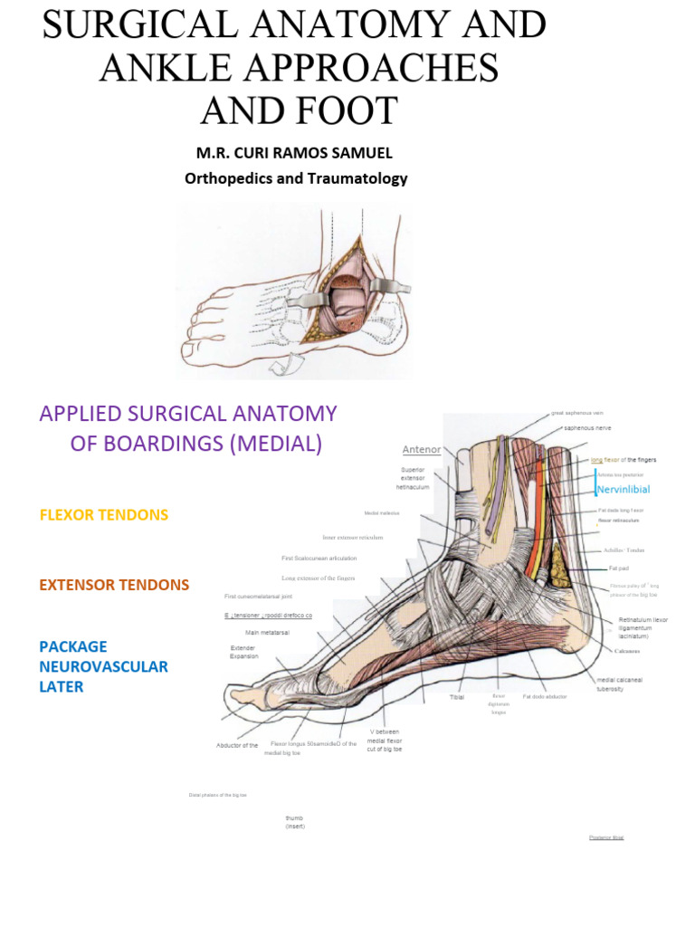 Ankle Approaches | Download Free PDF | Ankle | Human Leg