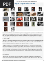 The Cascade Stomach - Revisited in The 21st Century - What Has Changed ...