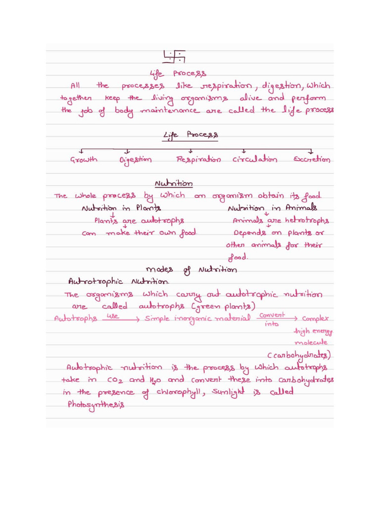 Class 10 Life Process | PDF