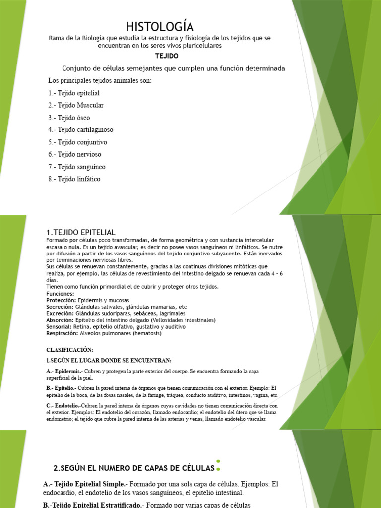 Tejidos Humanos Pdf Epitelio Hueso