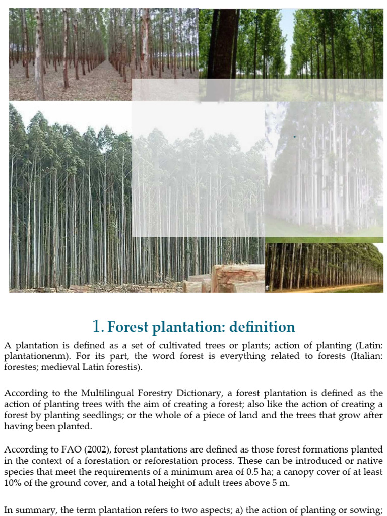 Class 5.1 - Management of Forest Plantations | Download Free PDF ...
