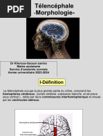 Rôle et anatomie du centre ovale cérébral | PDF | Cerveau | Cortex cérébral