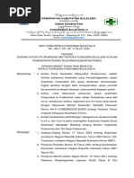 SK Kapusk Tentang Penyelenggaraan Ilp Di Pustu | PDF | Kesehatan Holistik