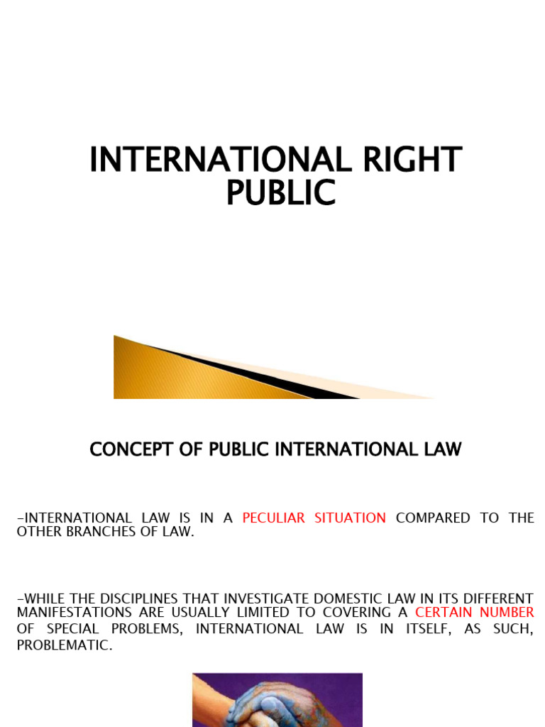 Understanding Public International Law | PDF | Treaty | International Law