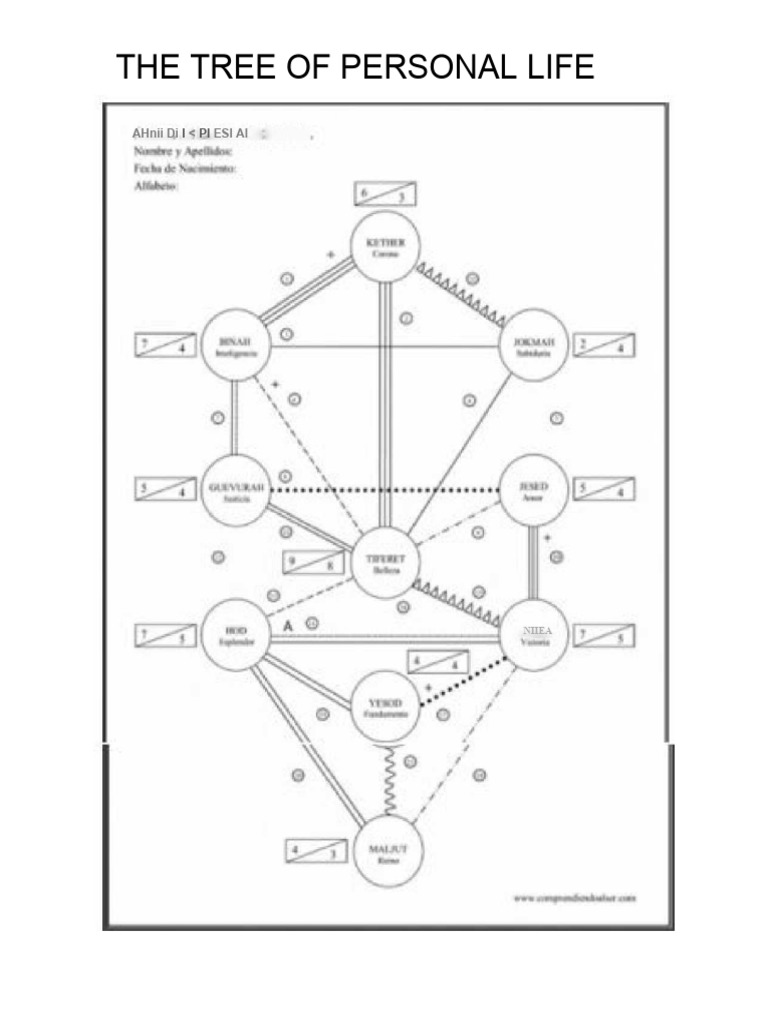 Personal Tree of Life Insights | PDF