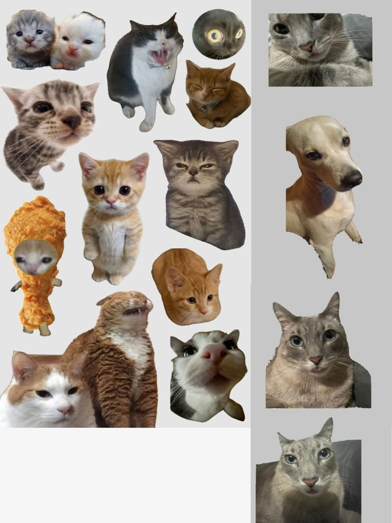 Documento A4 Planner Semanal de Comida Simple Colorido | PDF