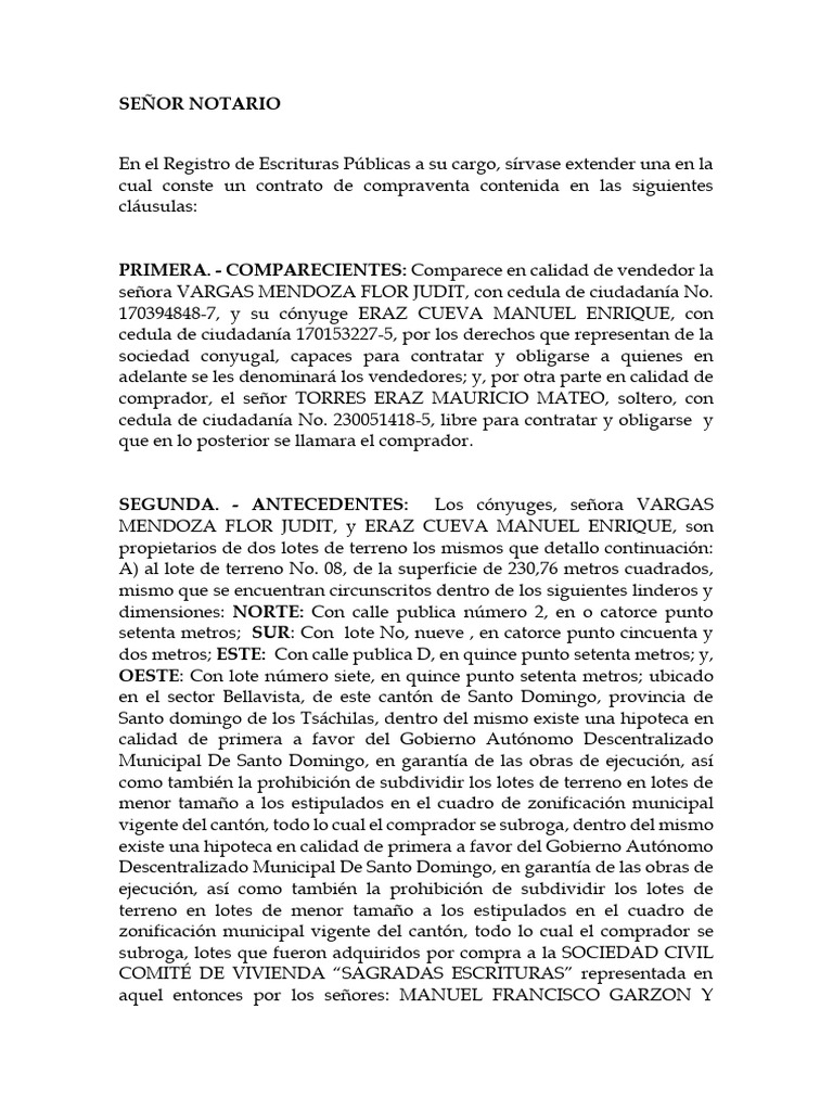 Compra-Venta Flor Vargas Solo 8 | PDF | Política