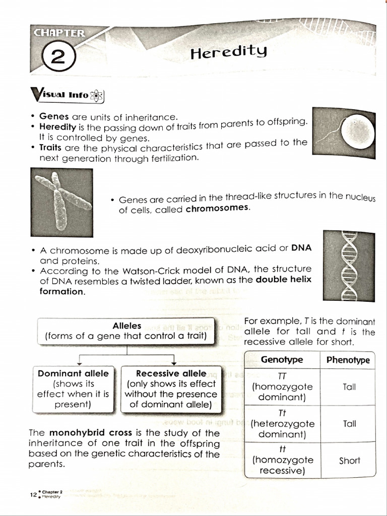 Heredity | PDF