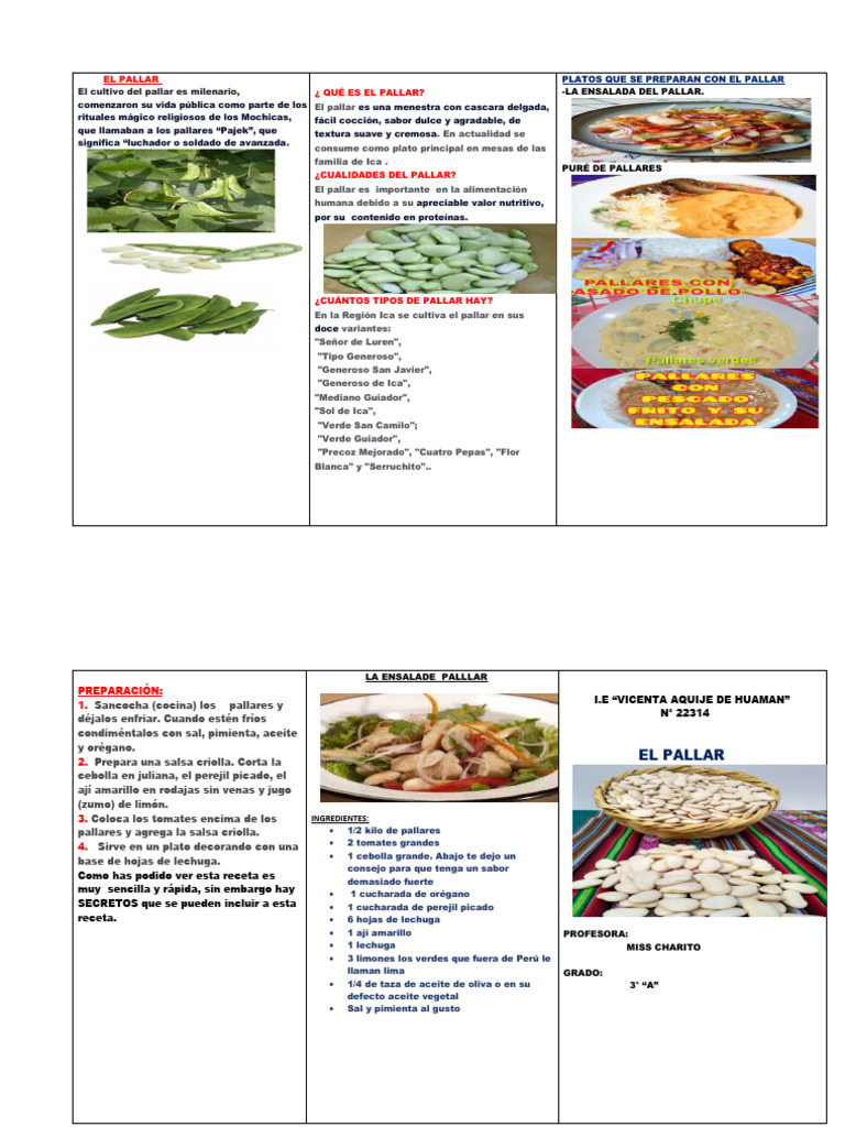 El Cultivo Del Pallar Es Milenario | PDF | ensalada | Preparación de ...