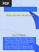 Giải Phẫu Xương Cánh Tay | PDF