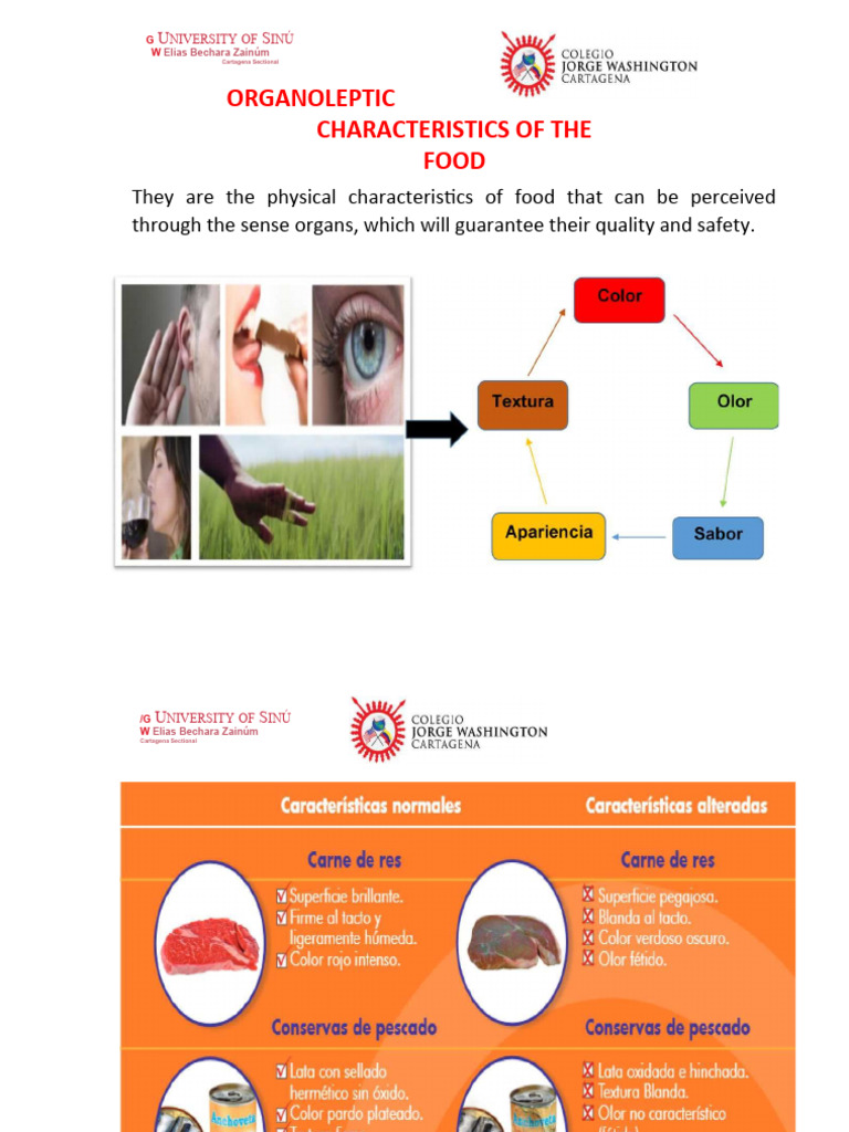 Organoleptic Characteristics of Foods | PDF | Foods | Taste