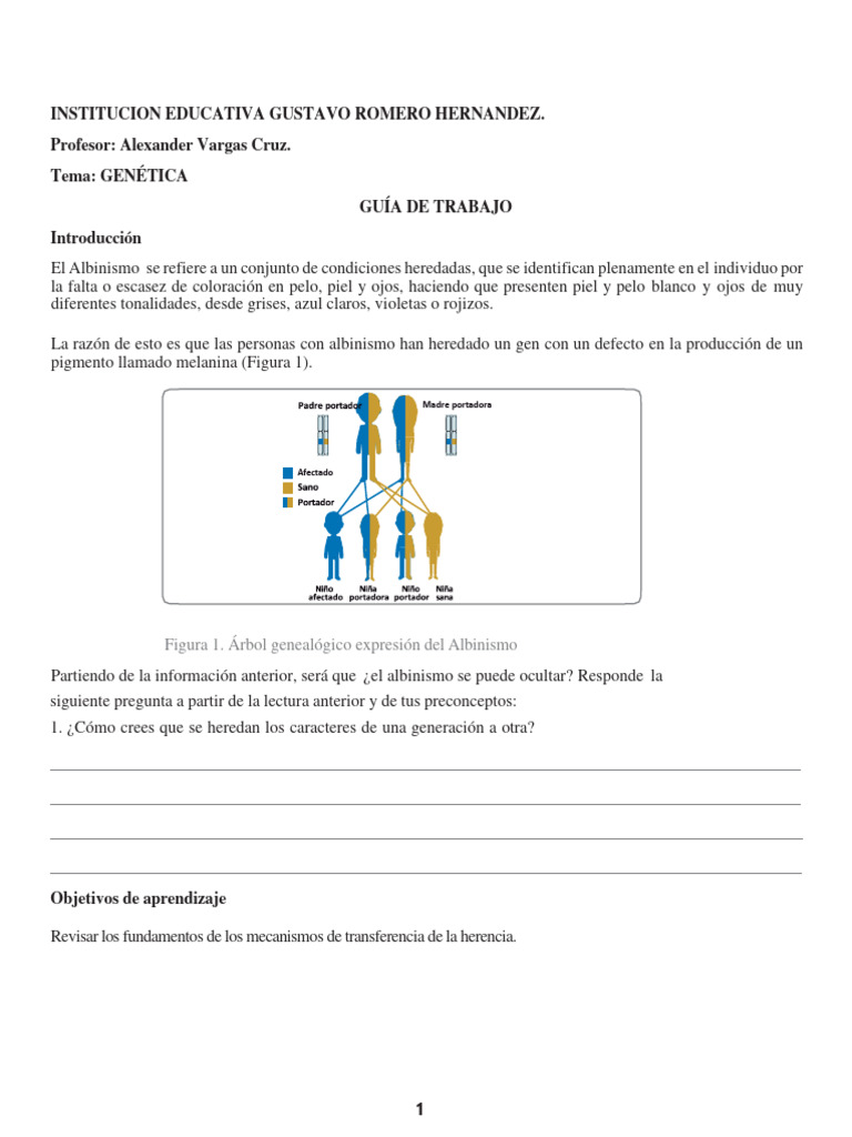 Genetica Guia 1 | PDF | Dominancia (Genética) | Alelo