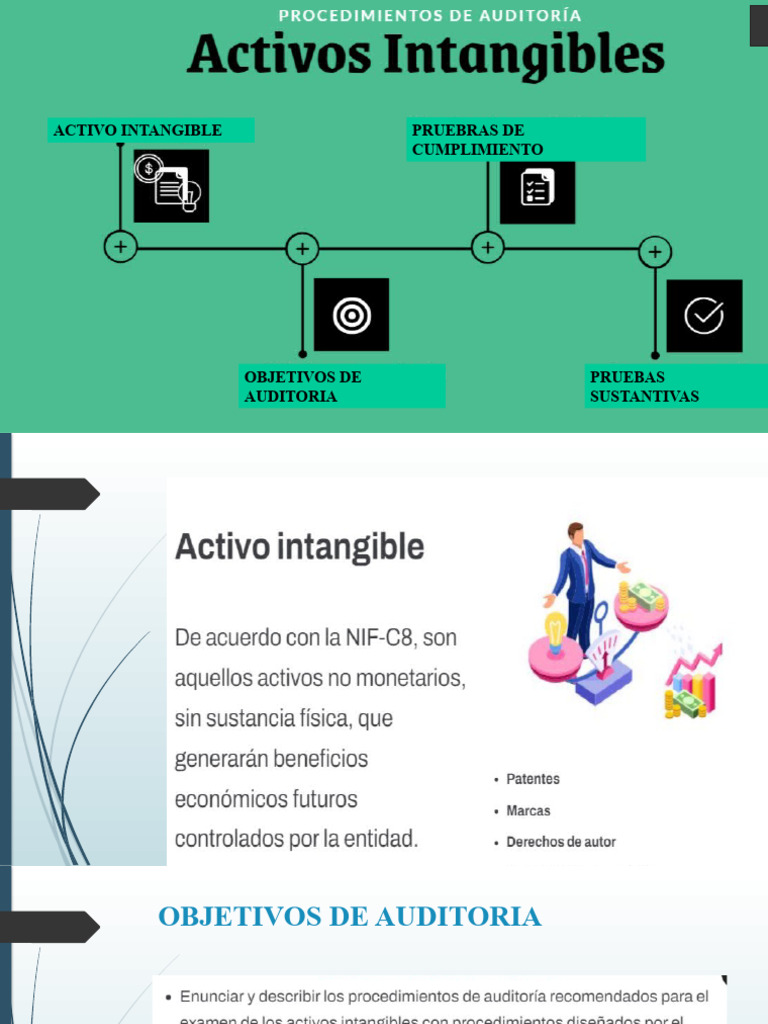 Auditoria Activos Intangibles | PDF | Activo intangible | Economias