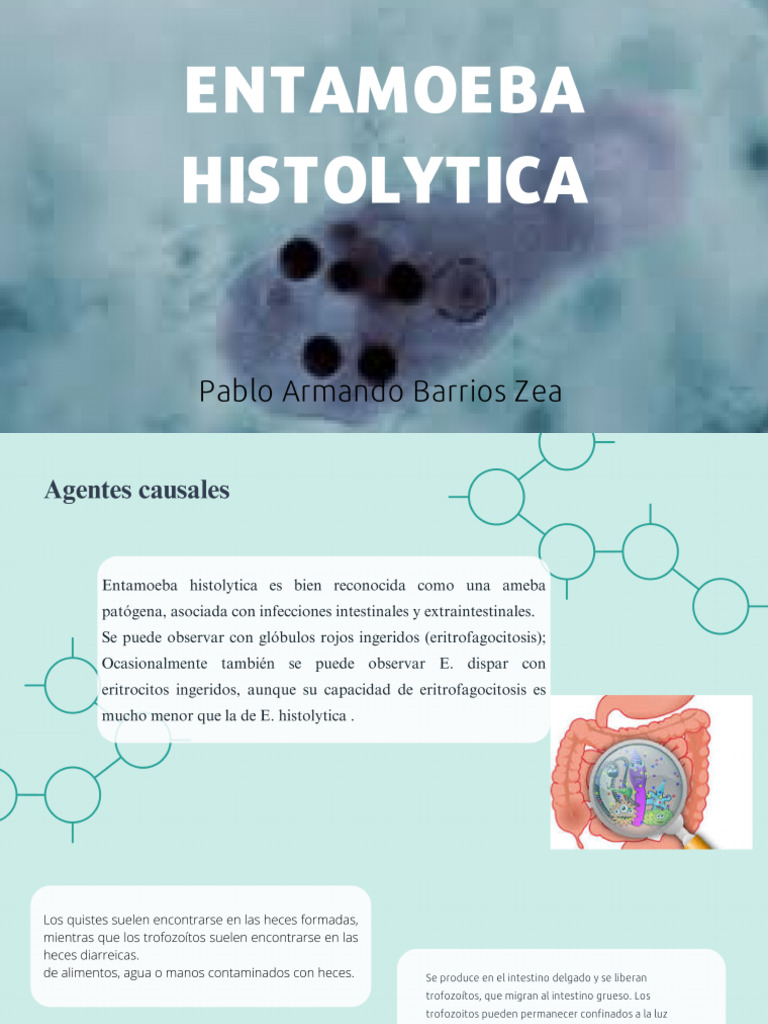 Entamoeba Histolytica | PDF