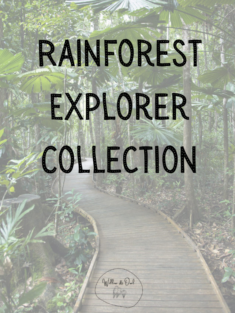 Rainforest Explorer Collection - Willow & Owl | PDF | Rainforest | Forests