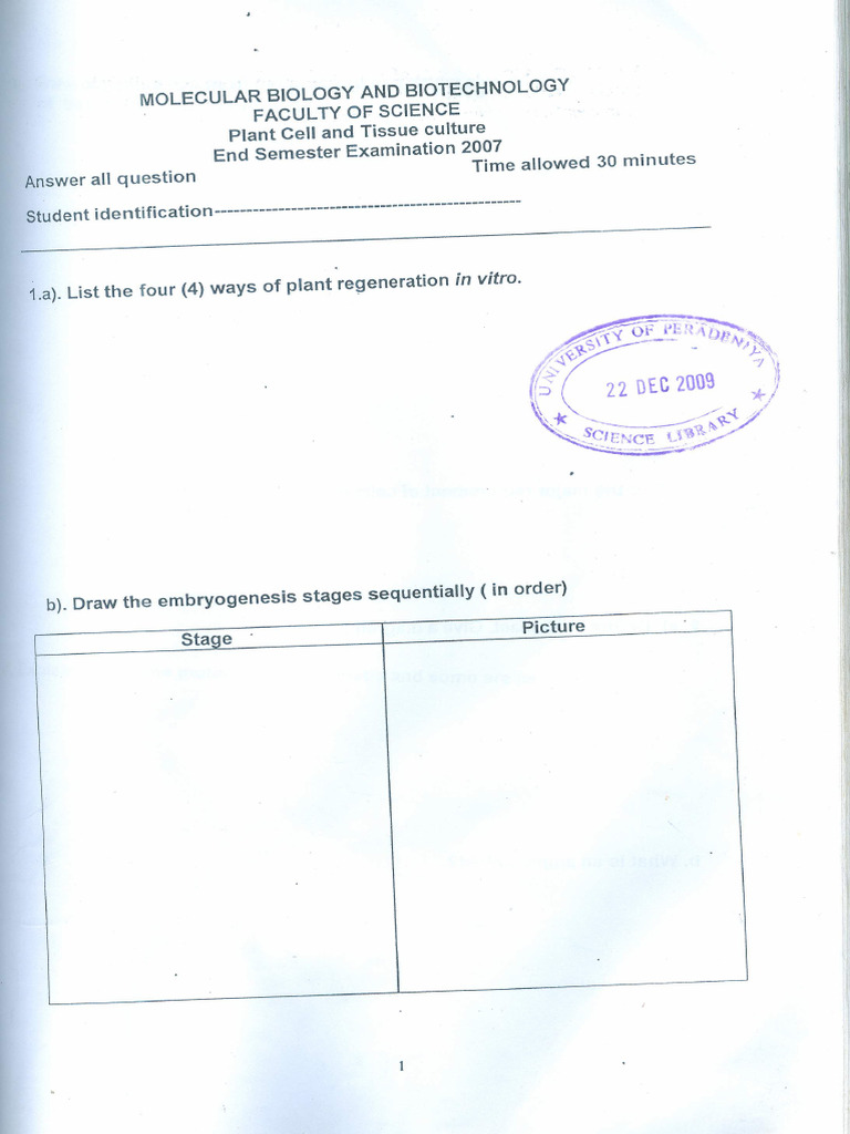 MB211 (2006 2007) | PDF