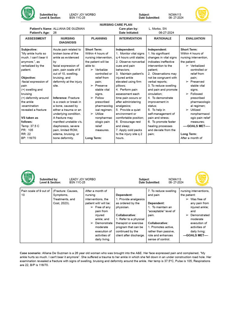NCP Example | PDF | Pain | Nursing