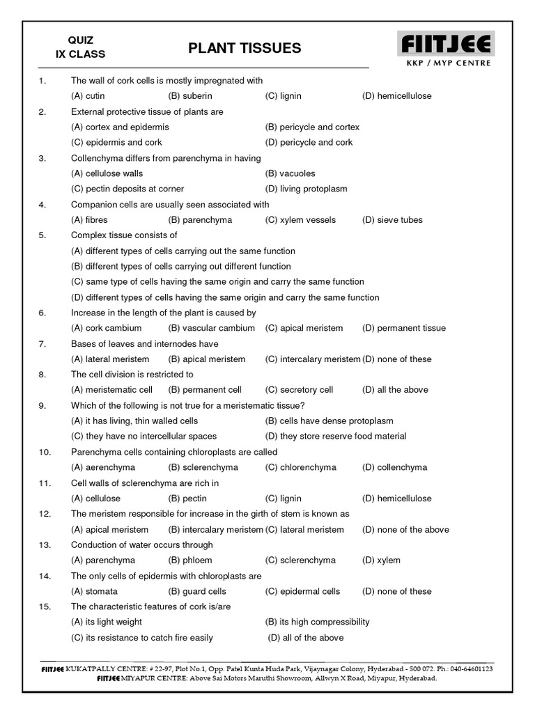 Biology 9th+class Plant+tissues Quiz+ (BPD) | PDF | Tissue (Biology ...