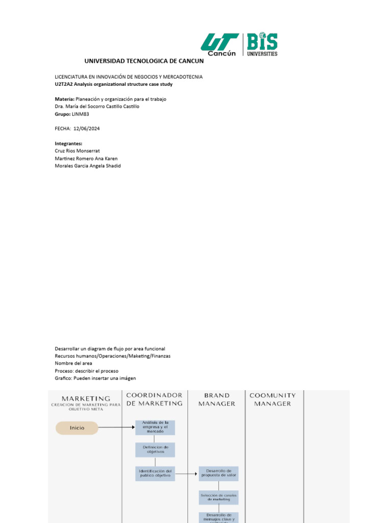 U2T2A2 Analysis Organizational Structure Case Study (Team) FINAL | PDF ...
